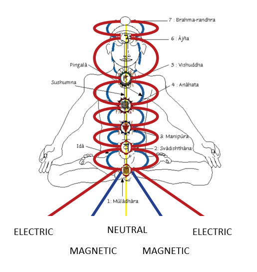 Temple Letter 2 - August 2025 - The Science & Activation of Kundalini ...